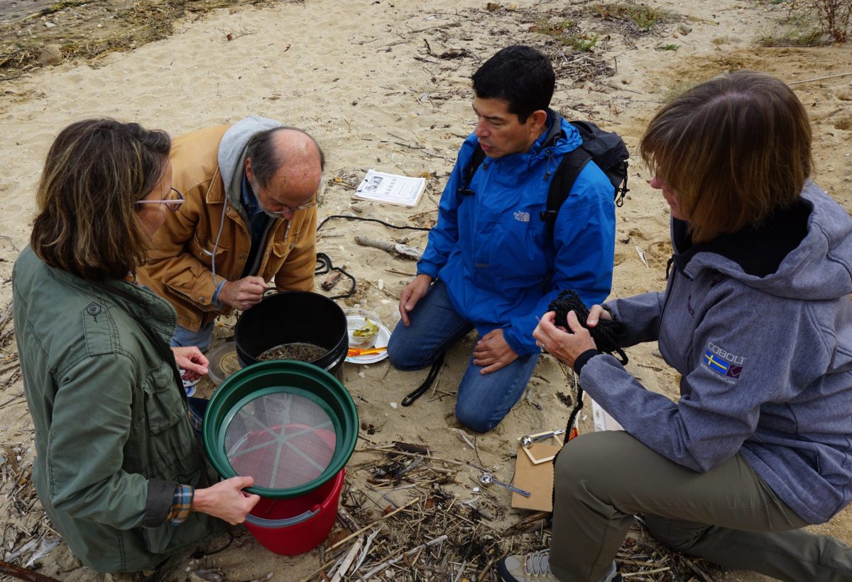 Teacher Training | Connecticut National Estuarine Research Reserve