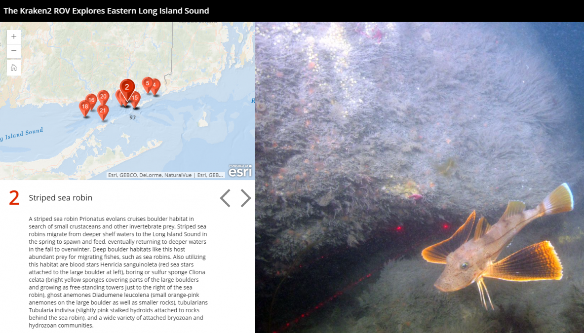 Virtual Tour | Connecticut National Estuarine Research Reserve